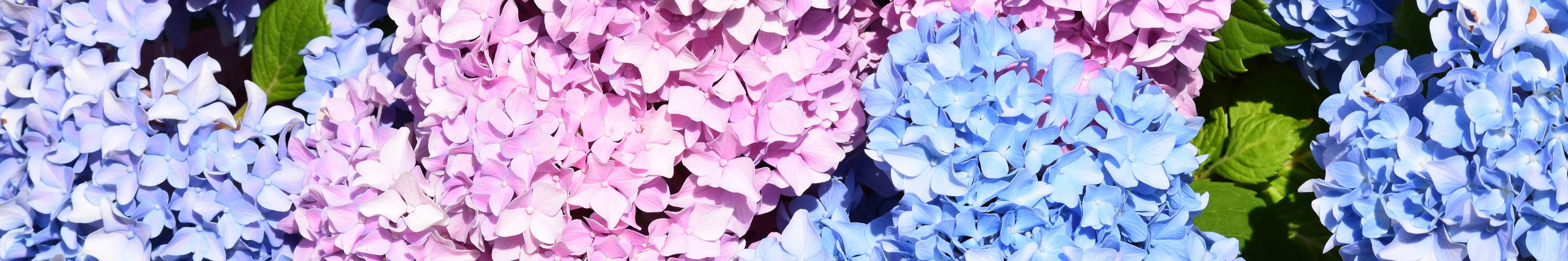 Property Record Cards | Teaneck Township