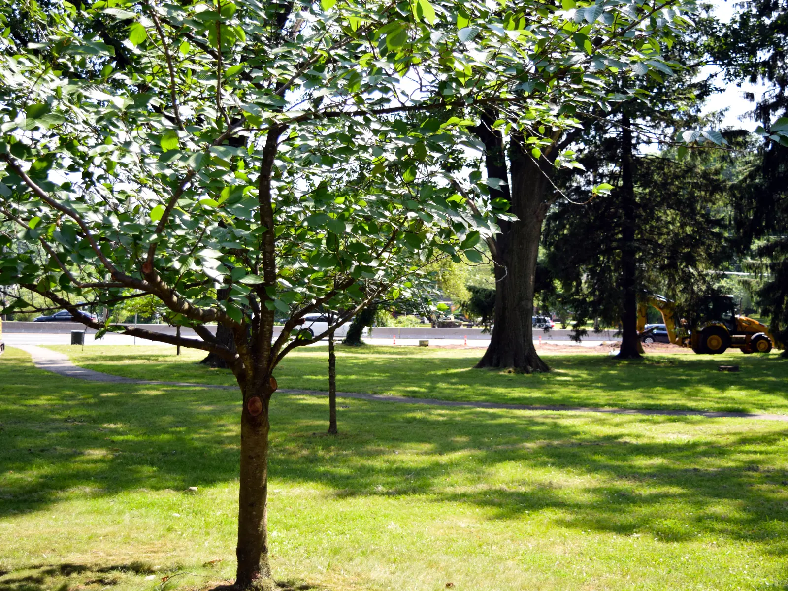 Elenor Manning Kieliszek Greenbelt Park | Teaneck Township
