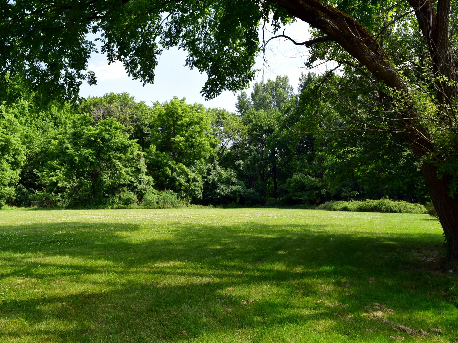 Windsor Park | Teaneck Township